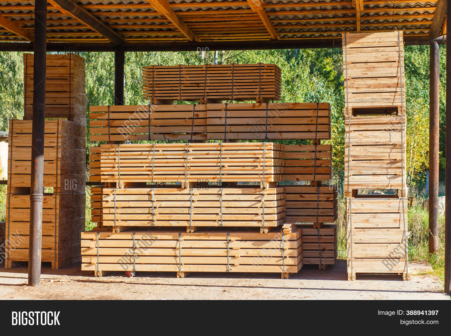 Wood Boards Pile