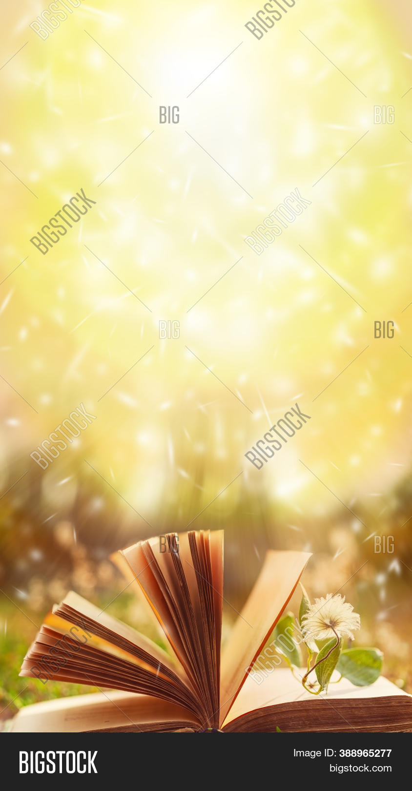 Opened Book.natural Image & Photo (Free Trial) | Bigstock