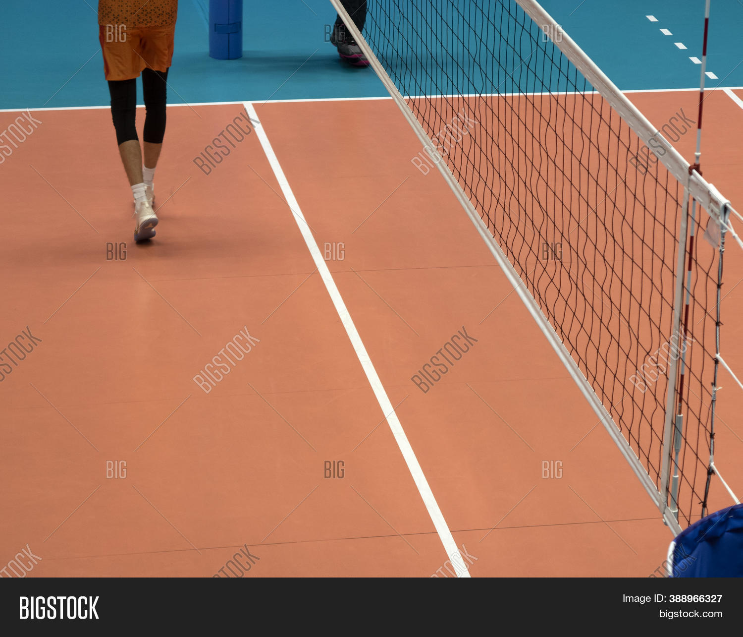 Volleyball Net. Image & Photo (Free Trial) | Bigstock