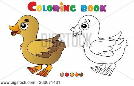 little ducks coloring pages