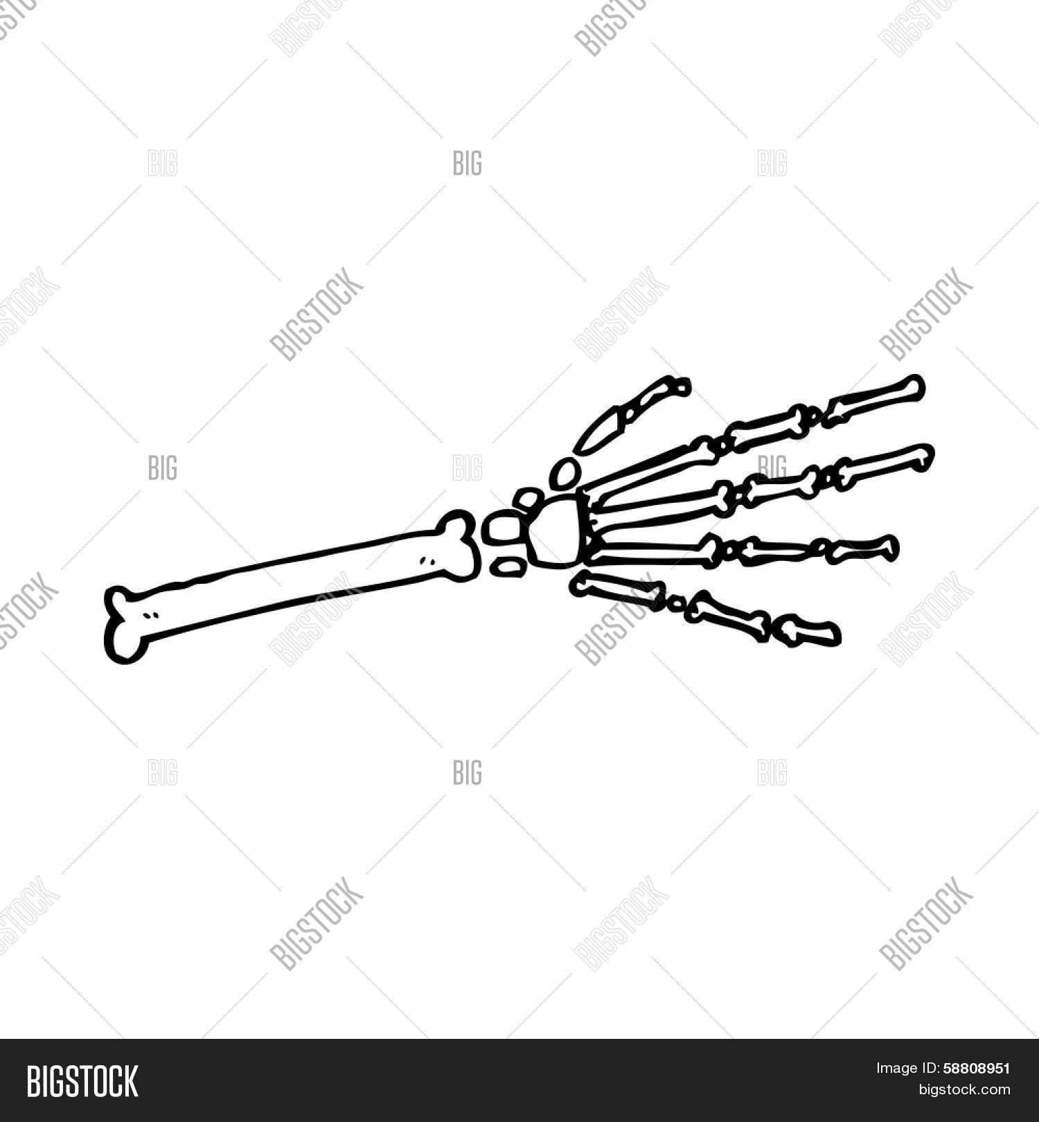Cartoon Skeleton Hand Image & Photo (Free Trial) | Bigstock