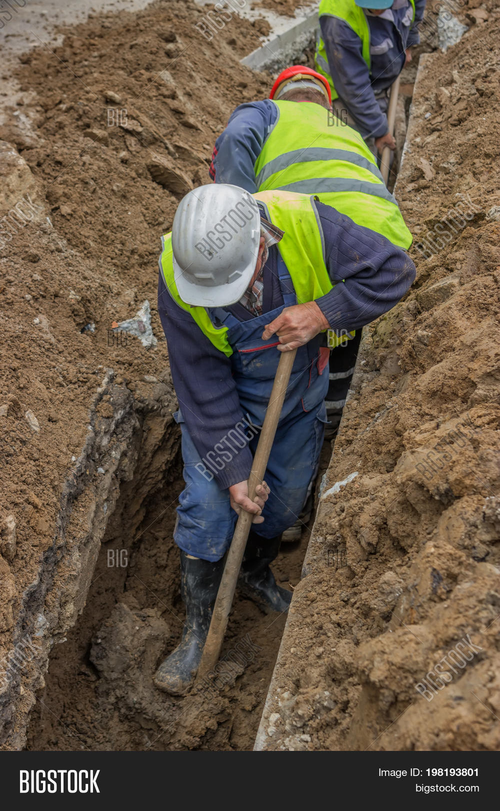 Group Workers Shovels Image & Photo (Free Trial) | Bigstock