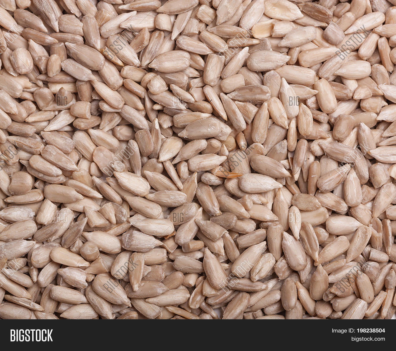 Peeled Sunflower Seeds Image & Photo (Free Trial) | Bigstock