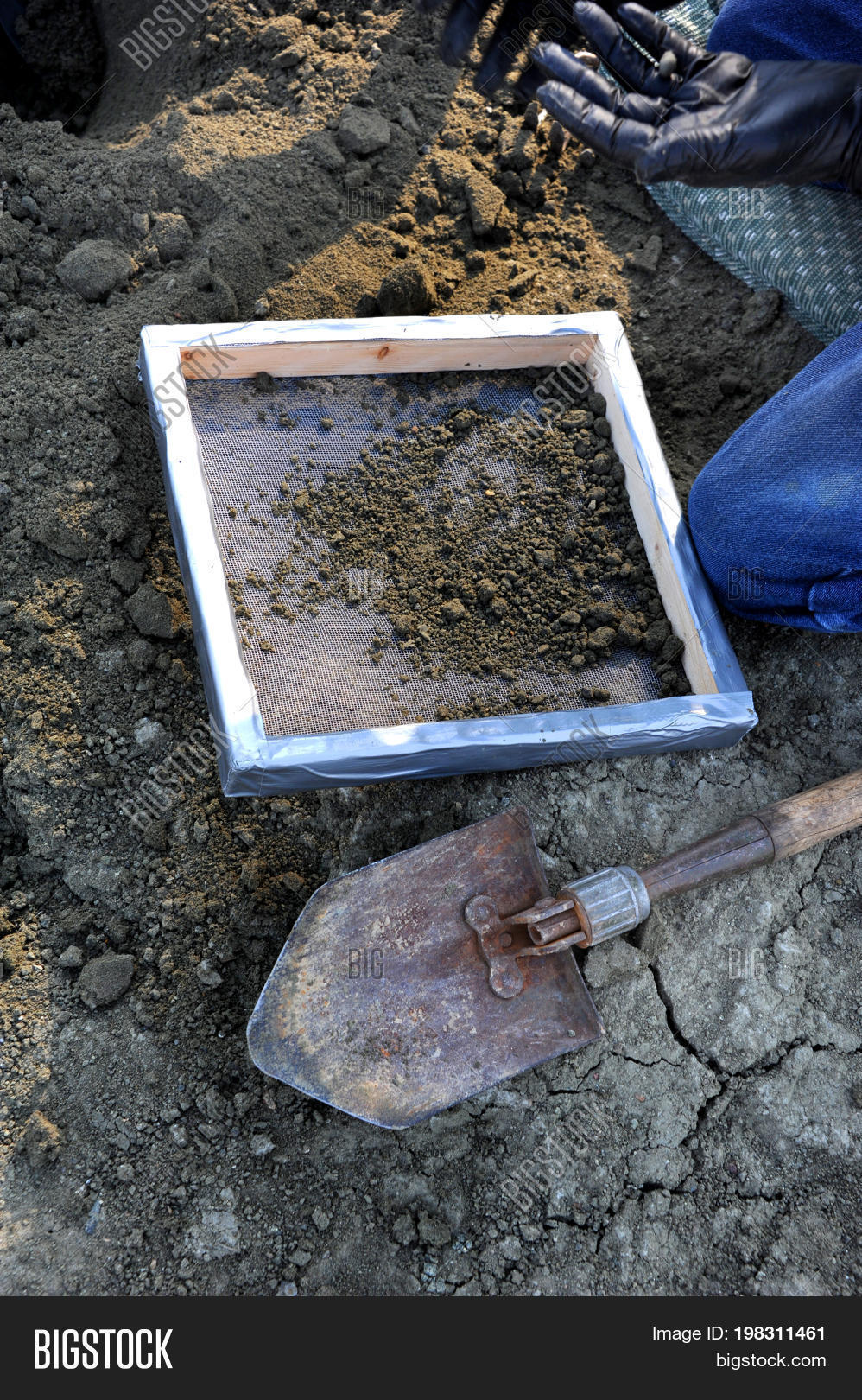 Man Sifts Through Dirt Image & Photo (Free Trial) | Bigstock