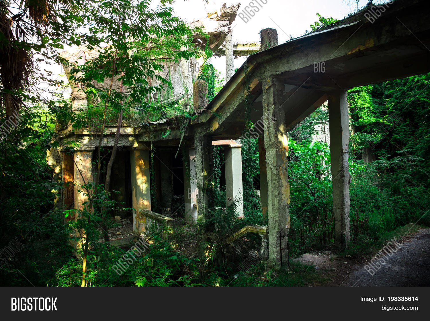 Overgrown Ruins Image & Photo (Free Trial) | Bigstock