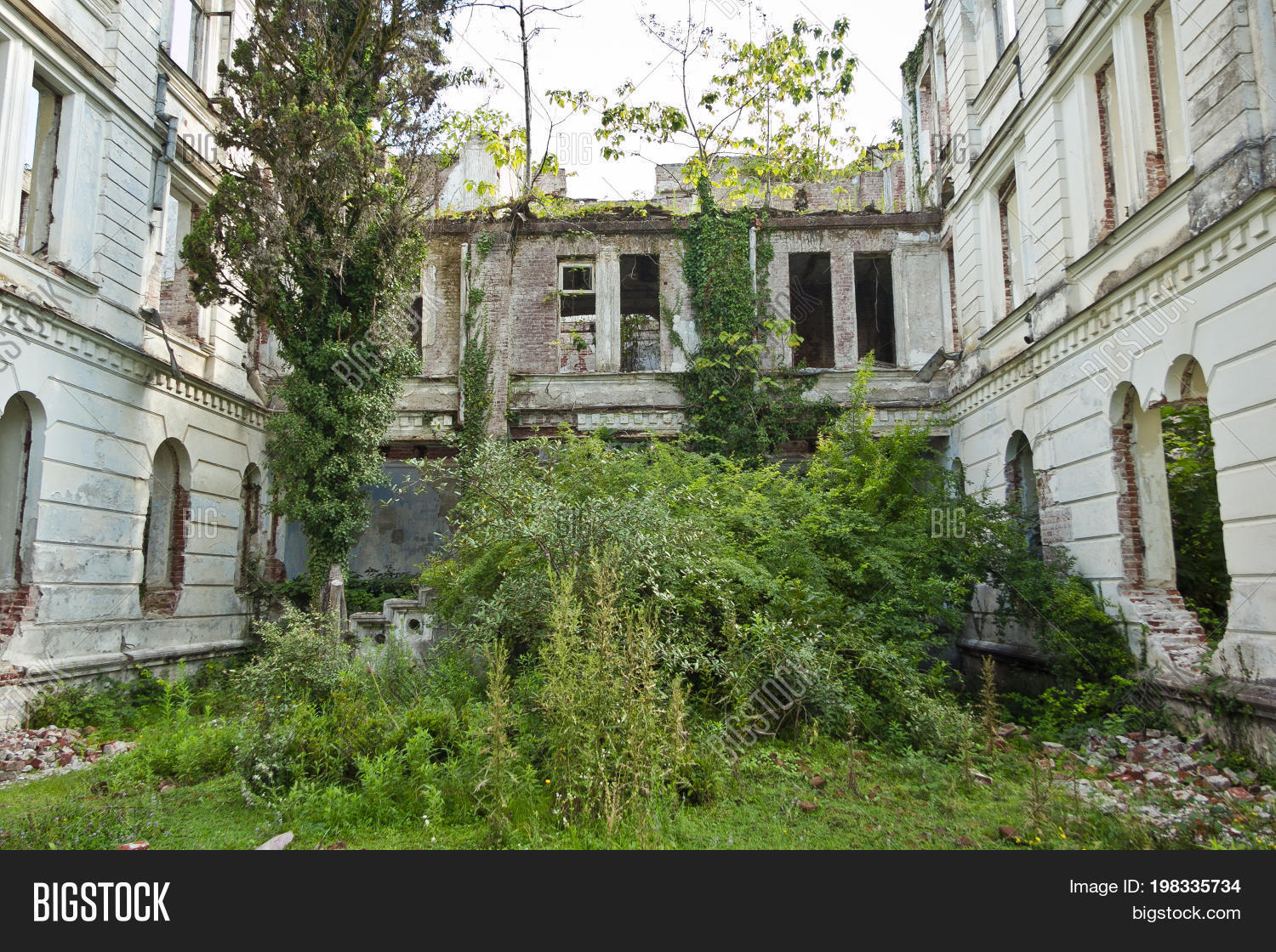 Overgrown Ruins Image & Photo (Free Trial) | Bigstock