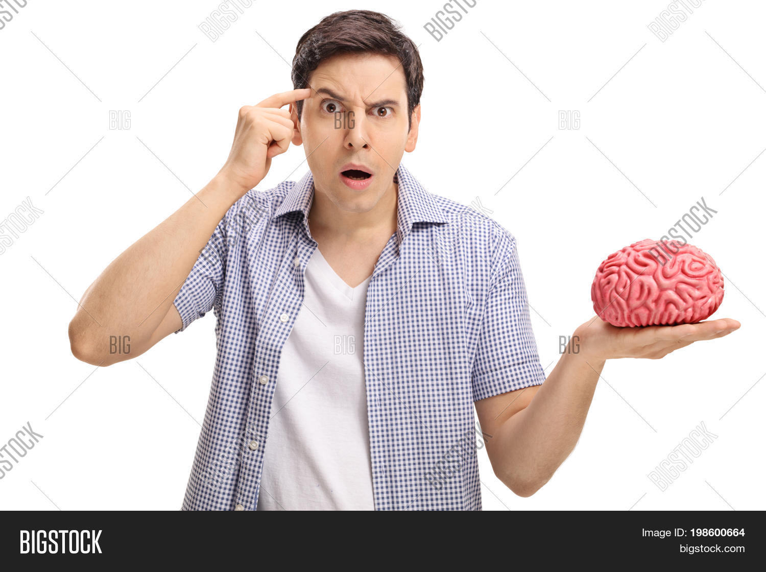 Young Man Brain Model Image & Photo (Free Trial) | Bigstock