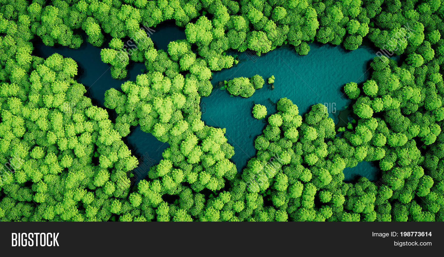 Rainforest Lakes Shape Image & Photo (Free Trial) | Bigstock