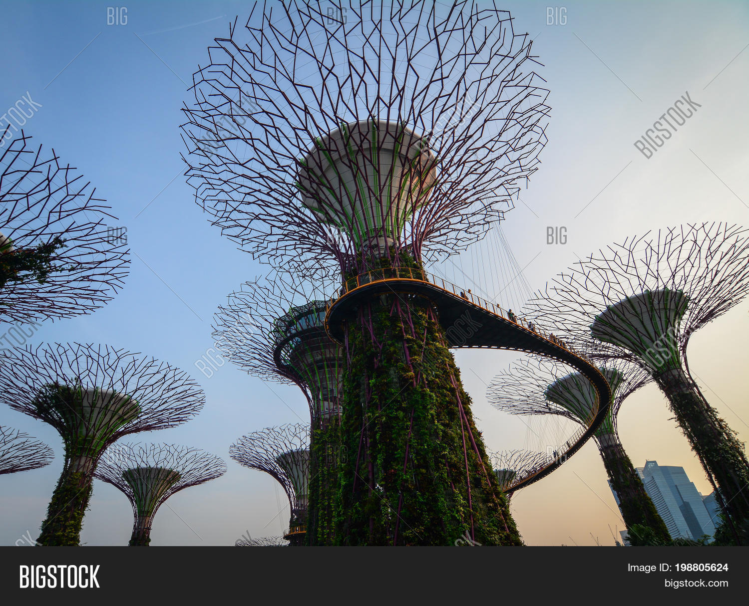 Supertree Gardens By Image & Photo (Free Trial) | Bigstock