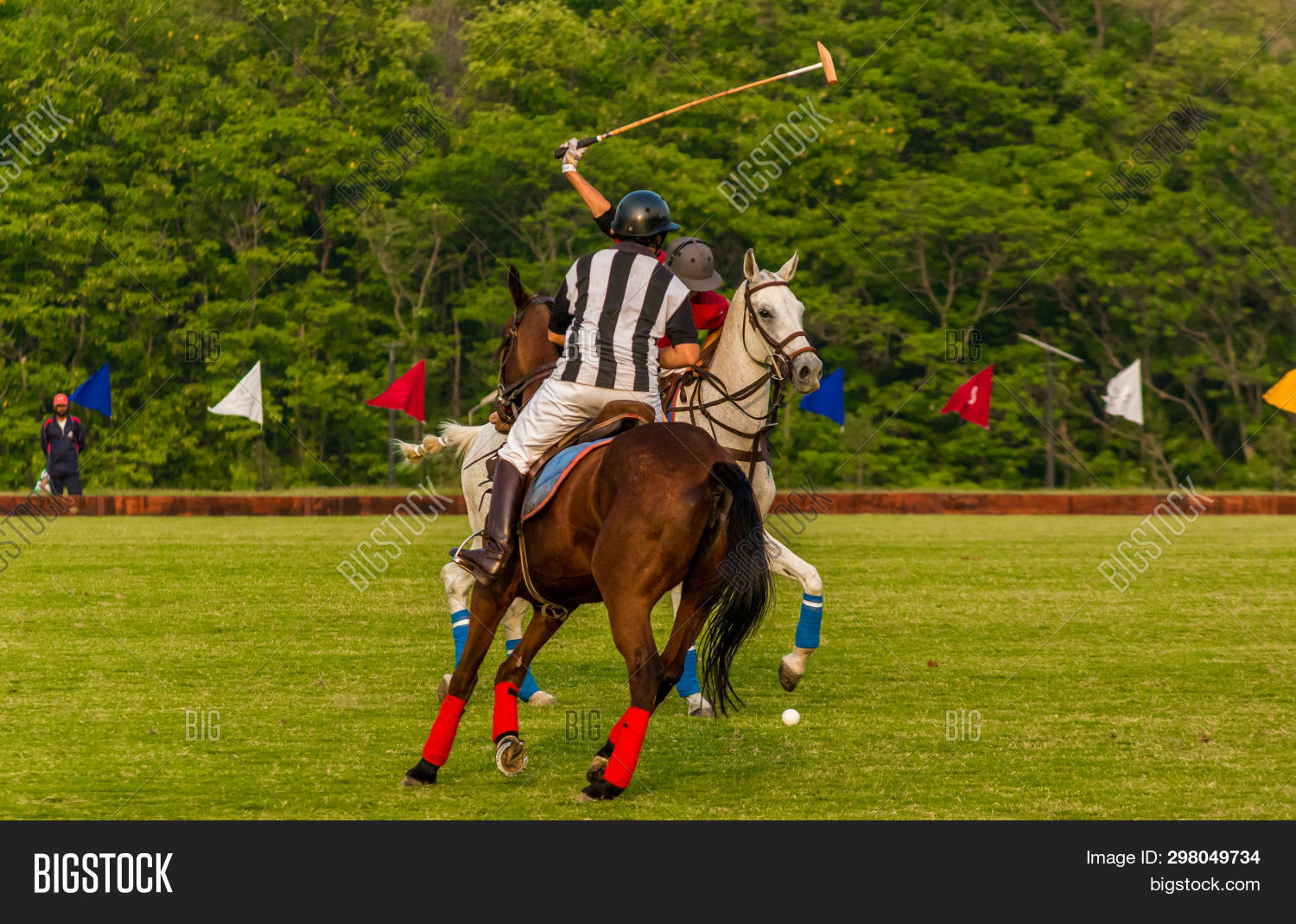 Players Playing Polo Image & Photo (Free Trial) | Bigstock