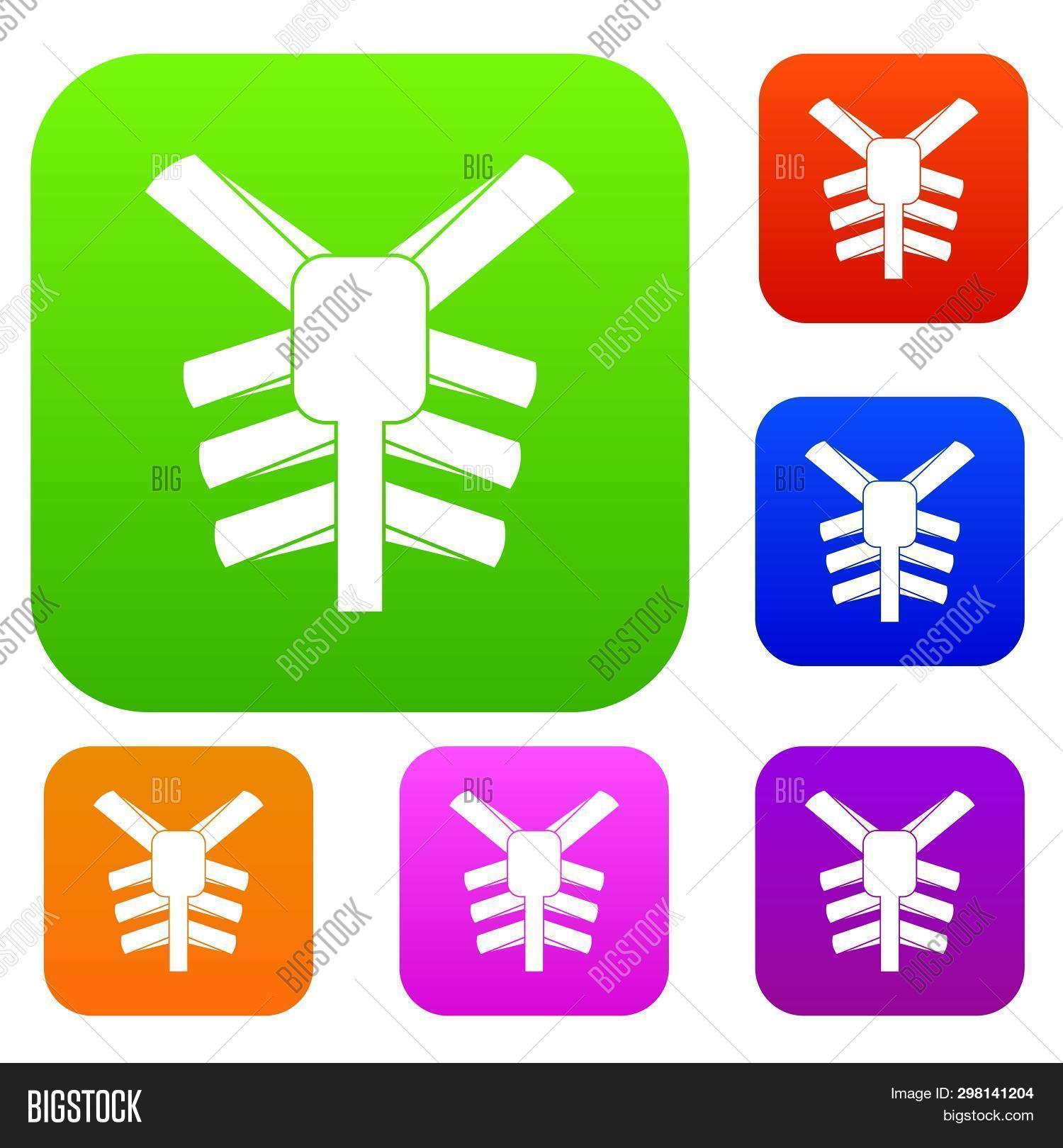 Human Thorax Set Icon Image & Photo (Free Trial) | Bigstock
