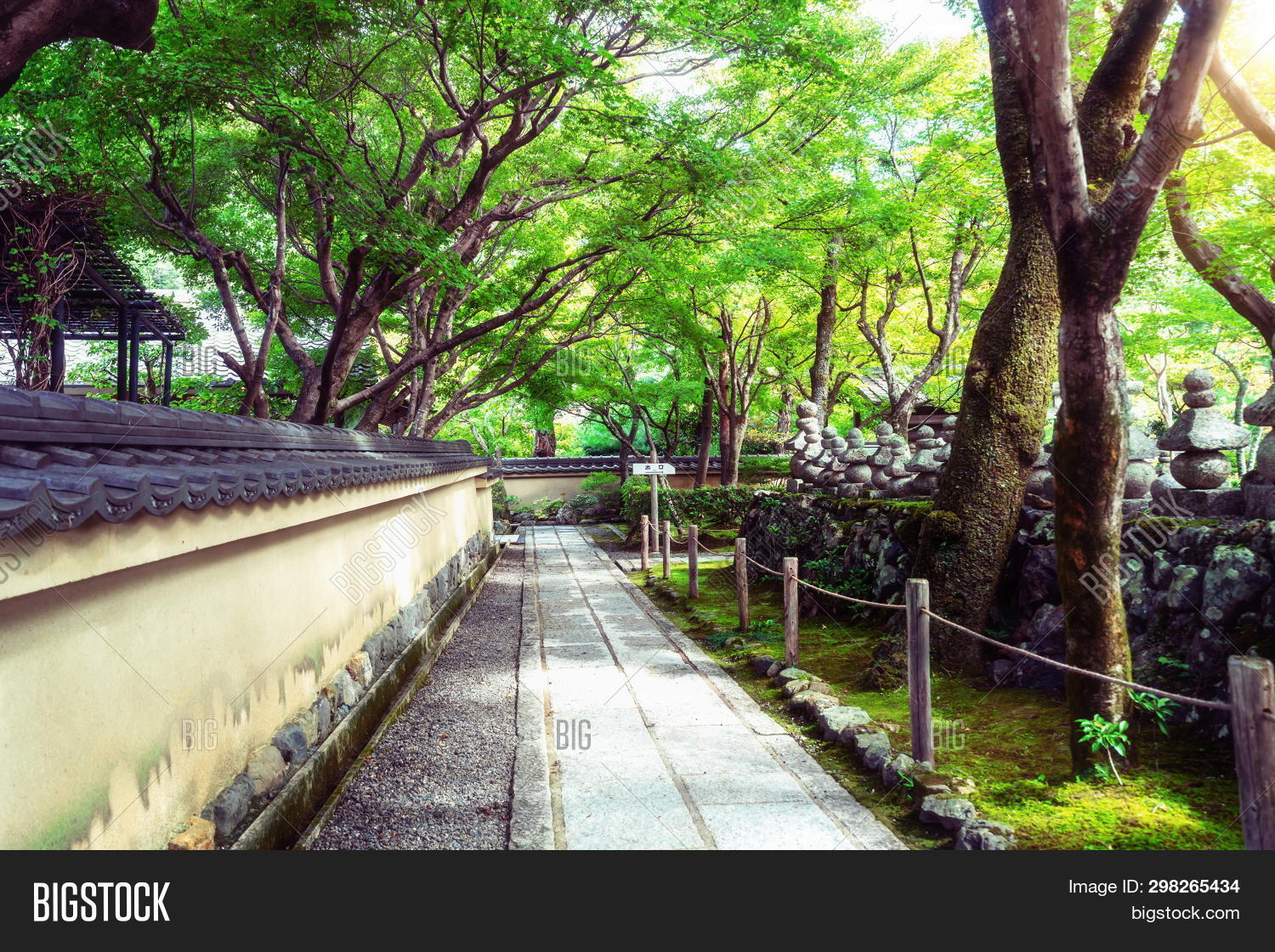 Japanese Peaceful Scenery