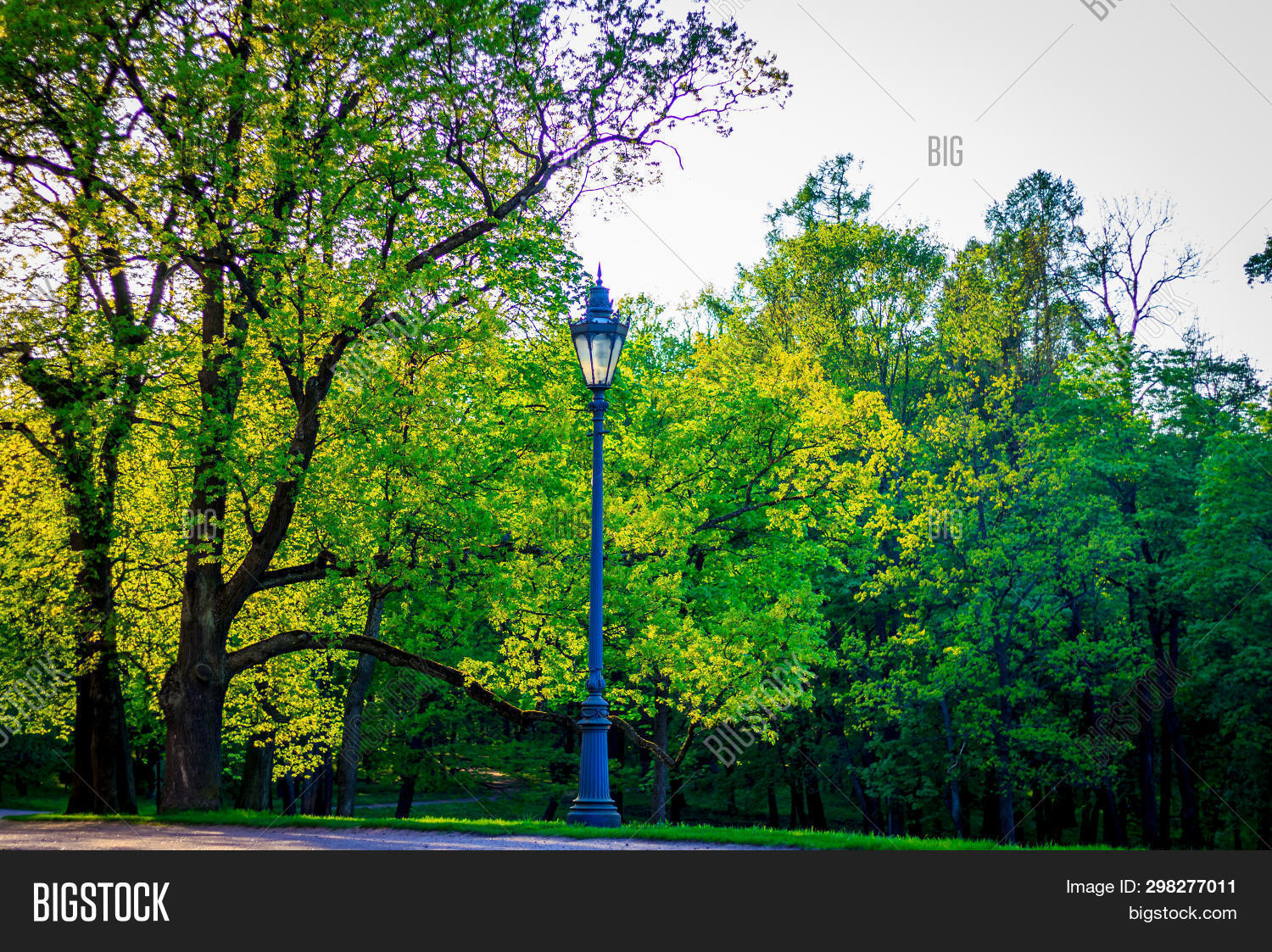 Spring Evening Park. Image & Photo (Free Trial) | Bigstock