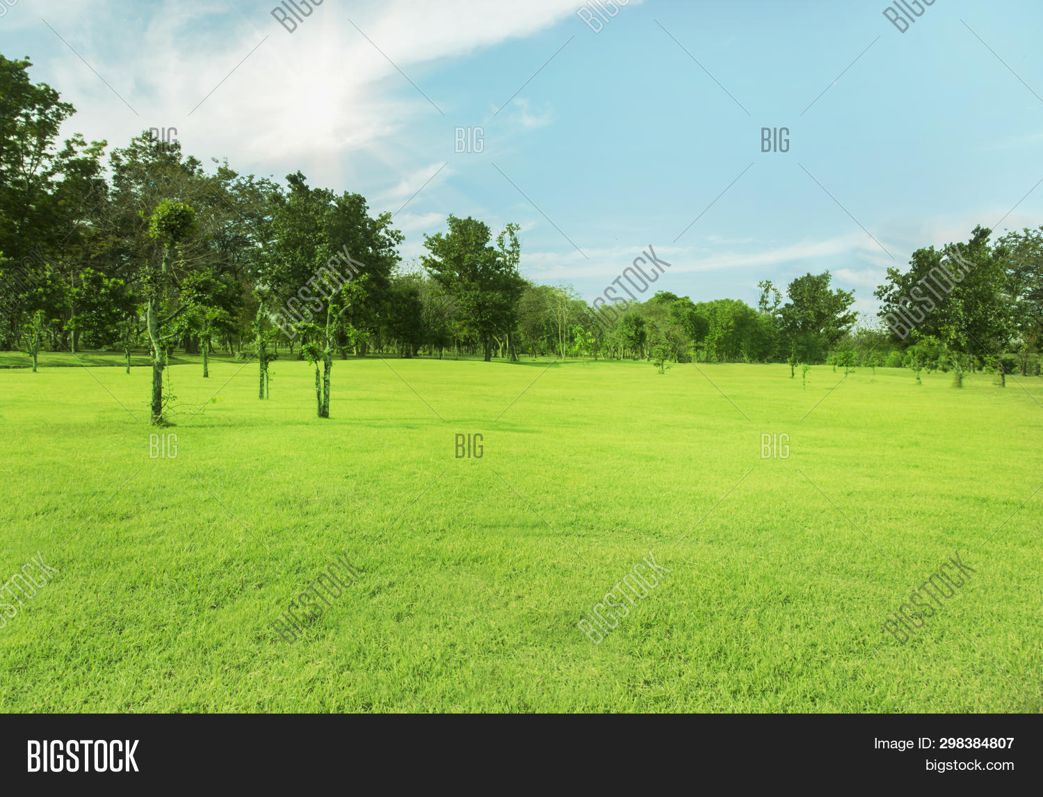 Green Tree View Wide Image & Photo (Free Trial) | Bigstock