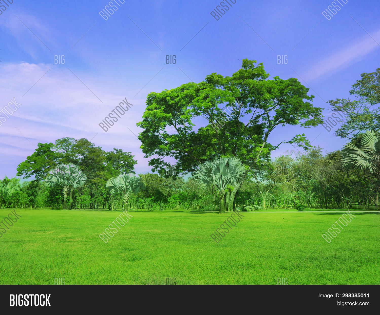 Natural Green Image & Photo (Free Trial) | Bigstock