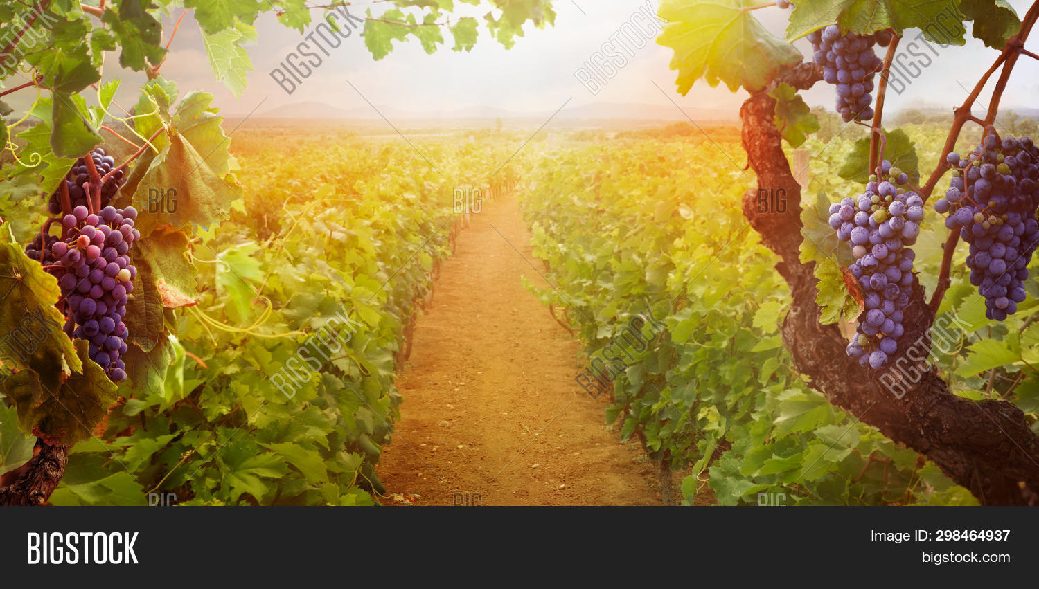 Imagen y foto Nature Background (prueba gratis) | Bigstock