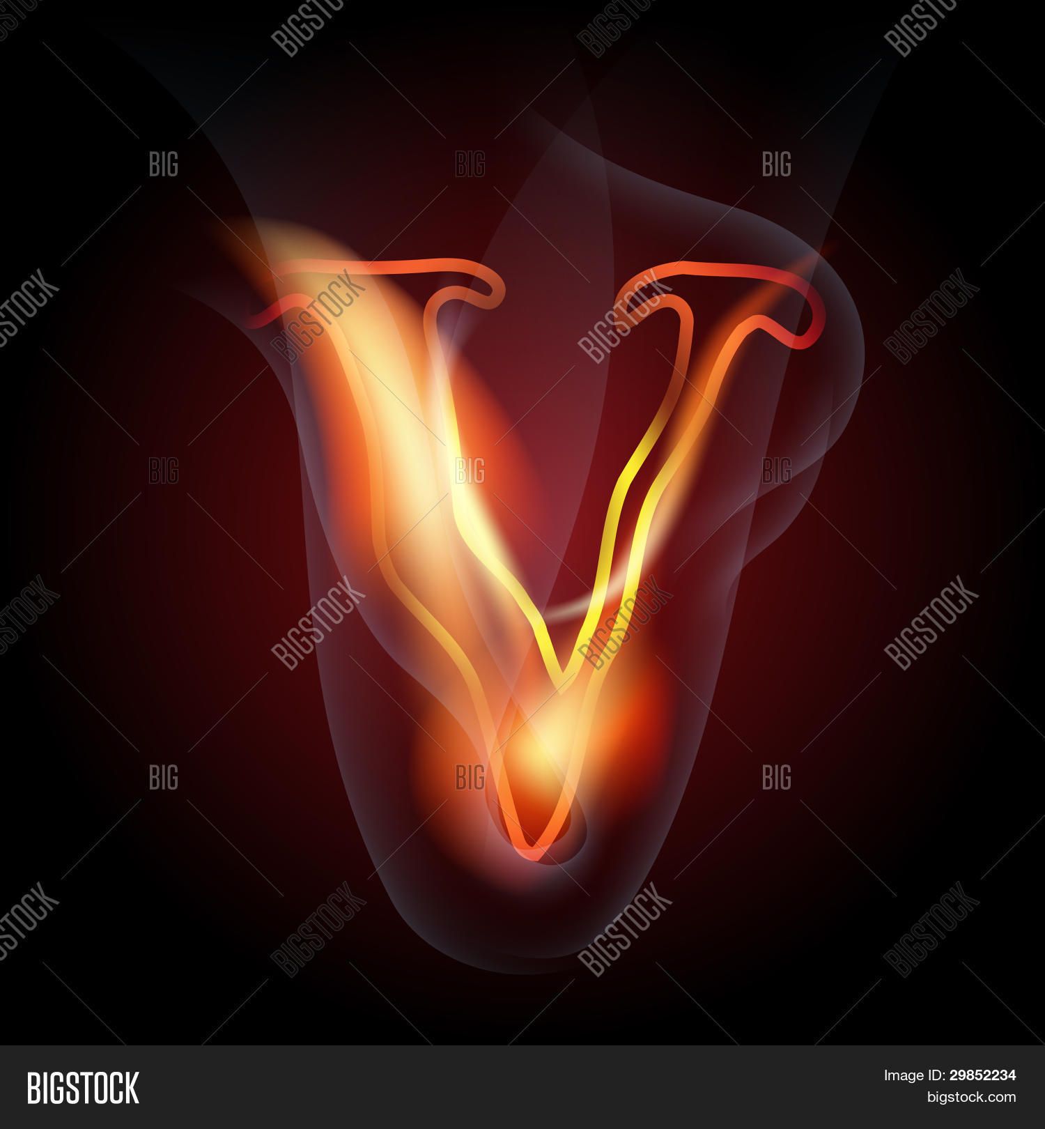 Fire Burning Latin Vector & Photo (Free Trial) | Bigstock