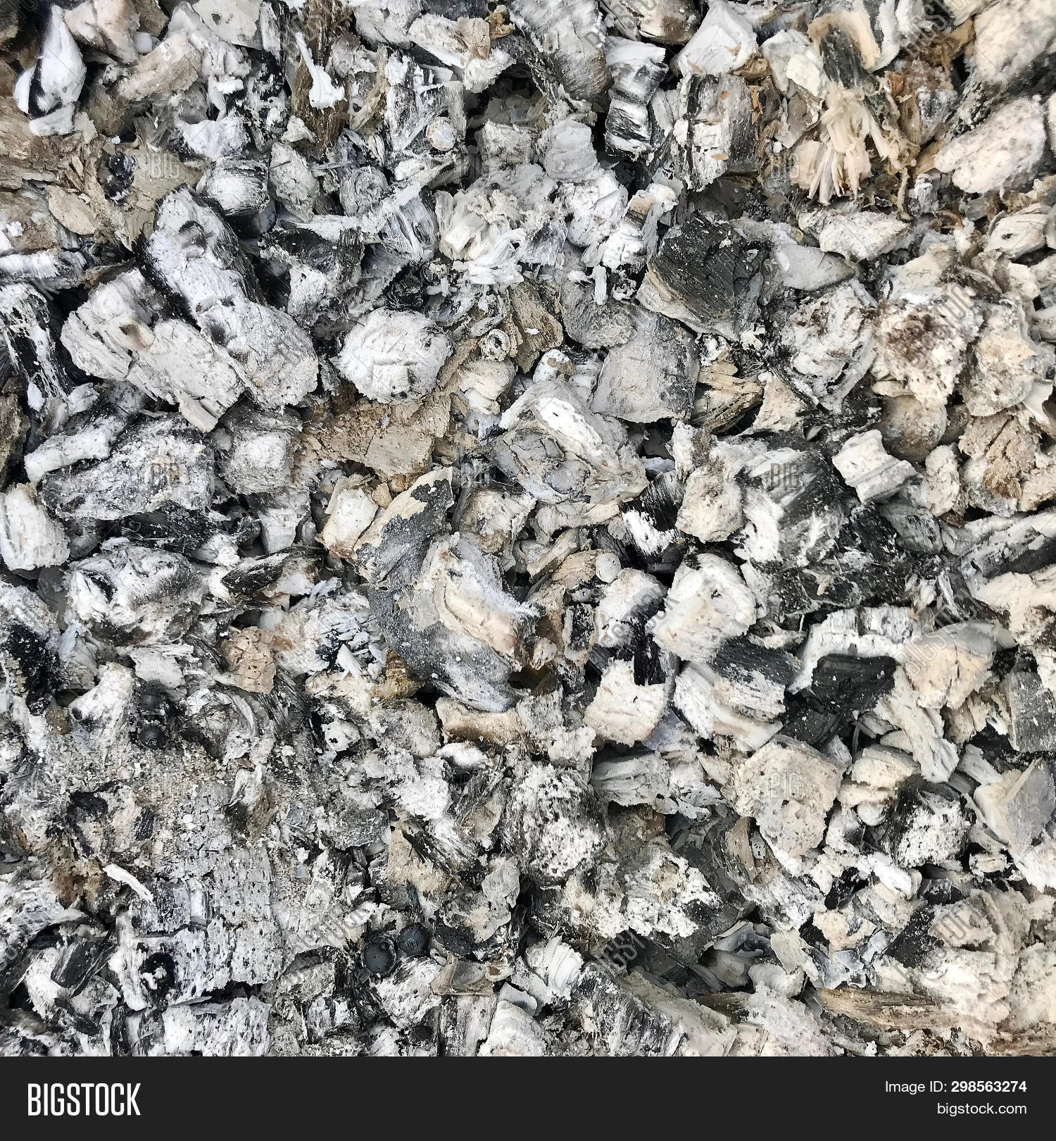 Beautiful Flame Brown Image & Photo (Free Trial) | Bigstock