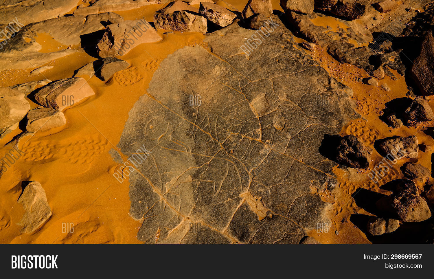 Cow - Cave Paintings Image & Photo (Free Trial) | Bigstock