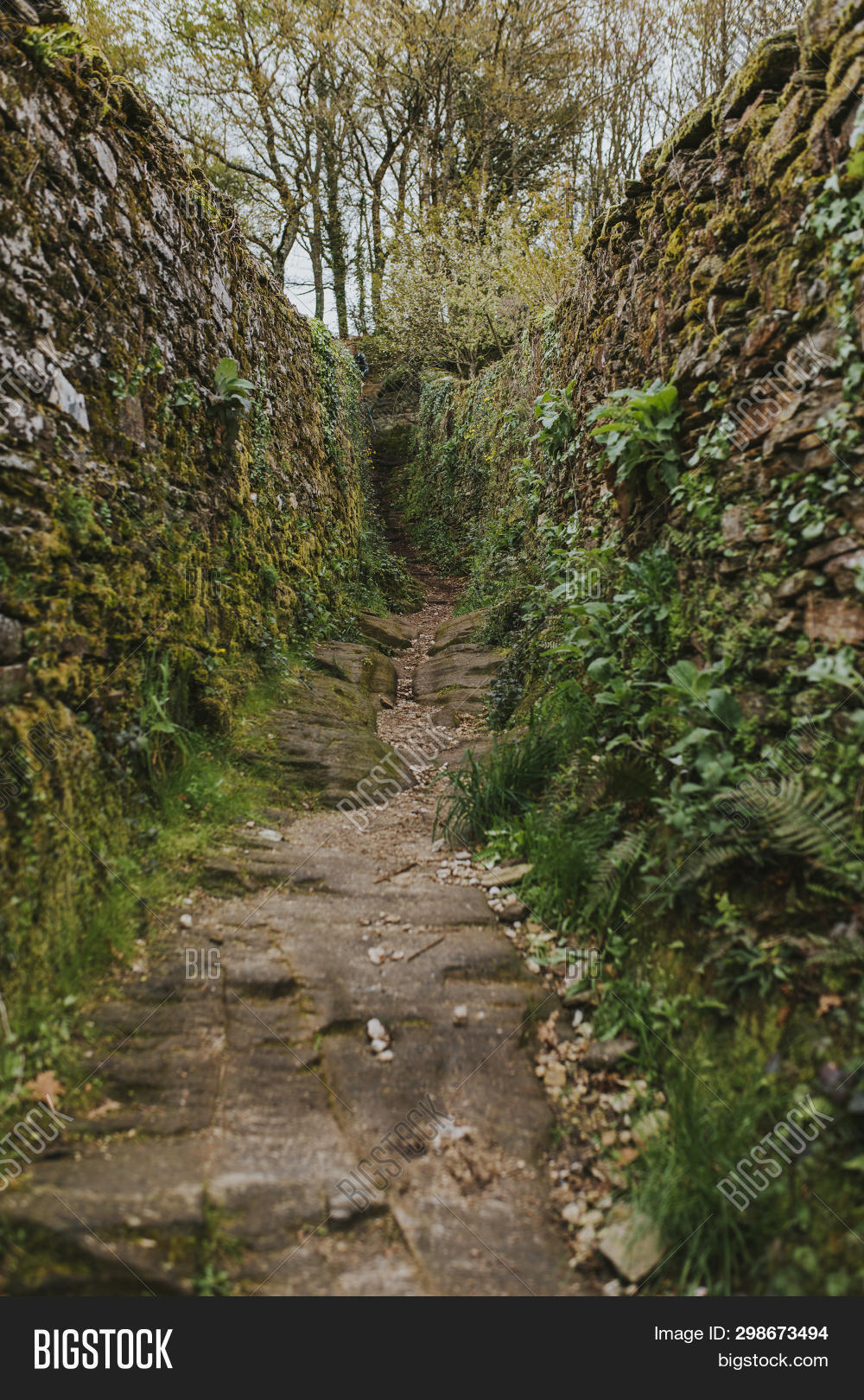 Narrow Difficult Stone Image & Photo (Free Trial) | Bigstock