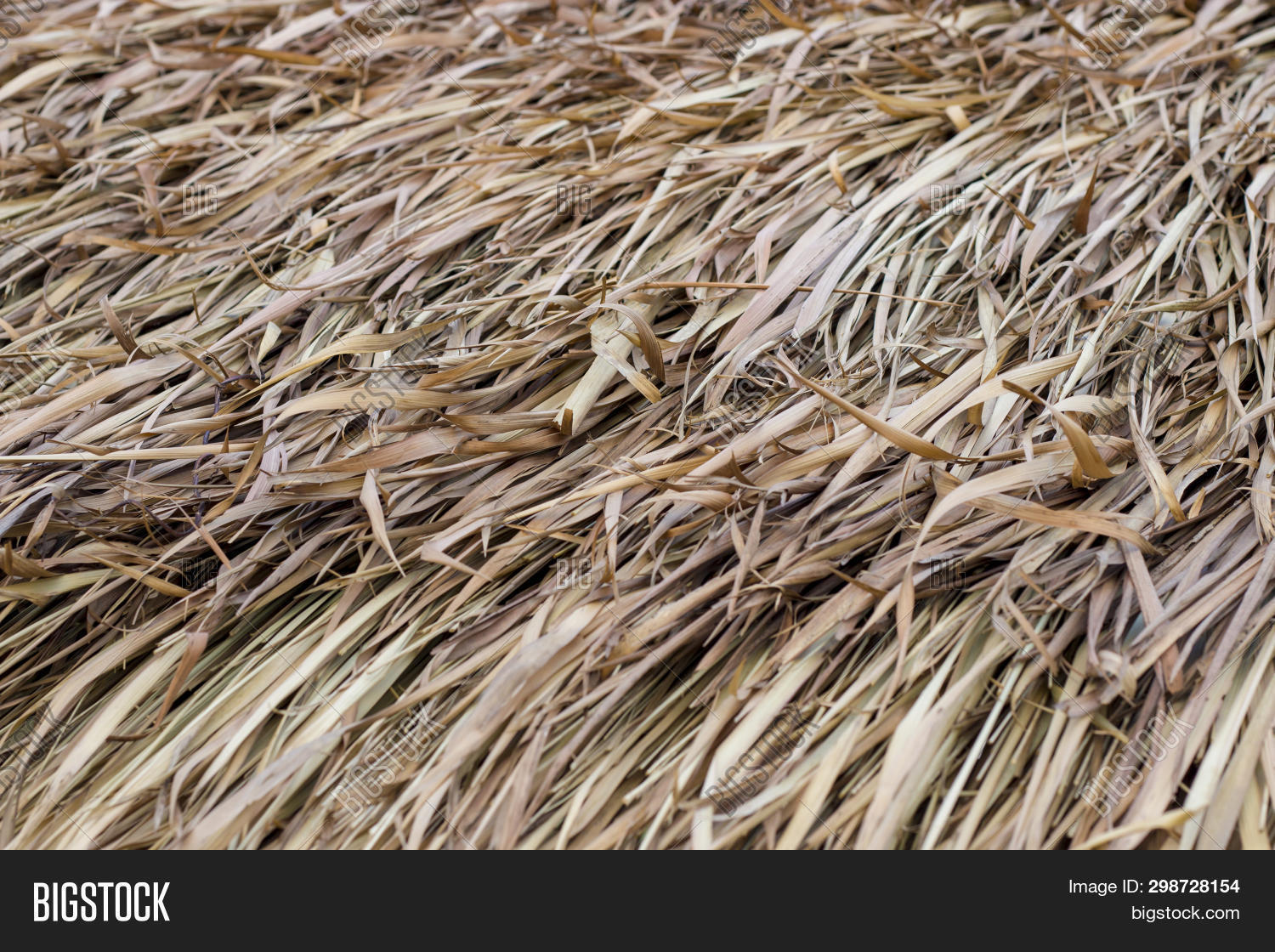 Close Dried Hay Roof Image & Photo (Free Trial) | Bigstock