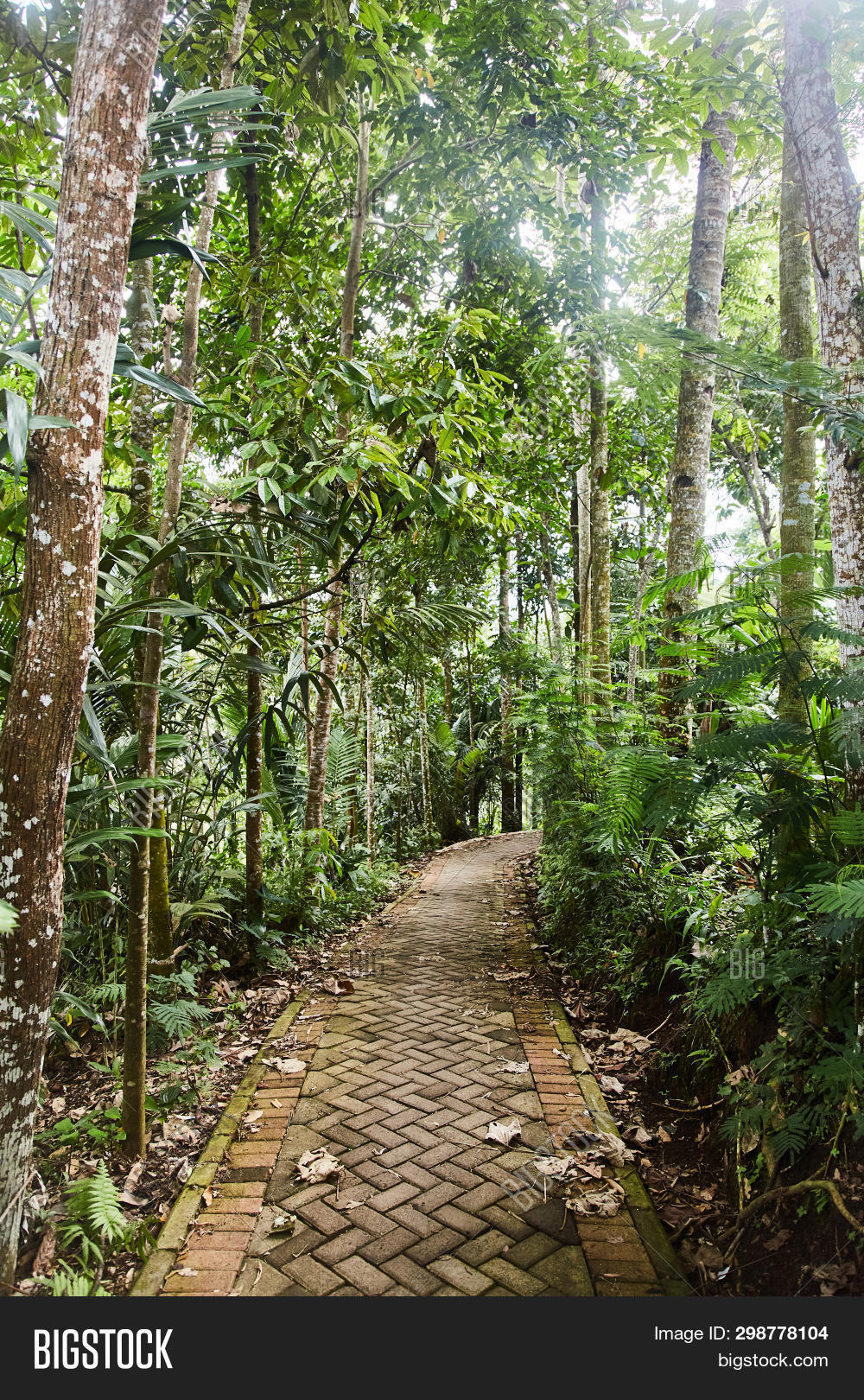 Narrow Rocky Path Image & Photo (Free Trial) | Bigstock
