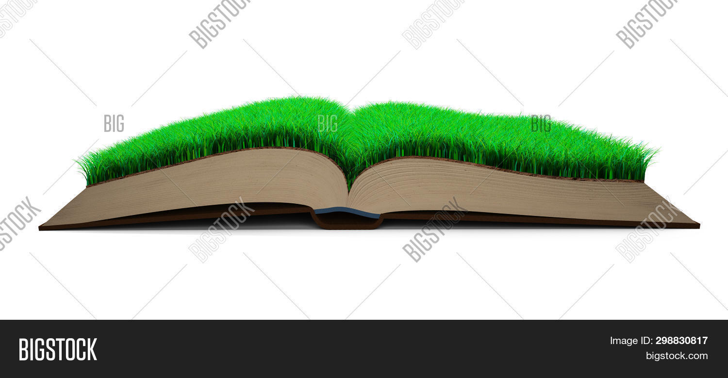 Open Book Pages Texture