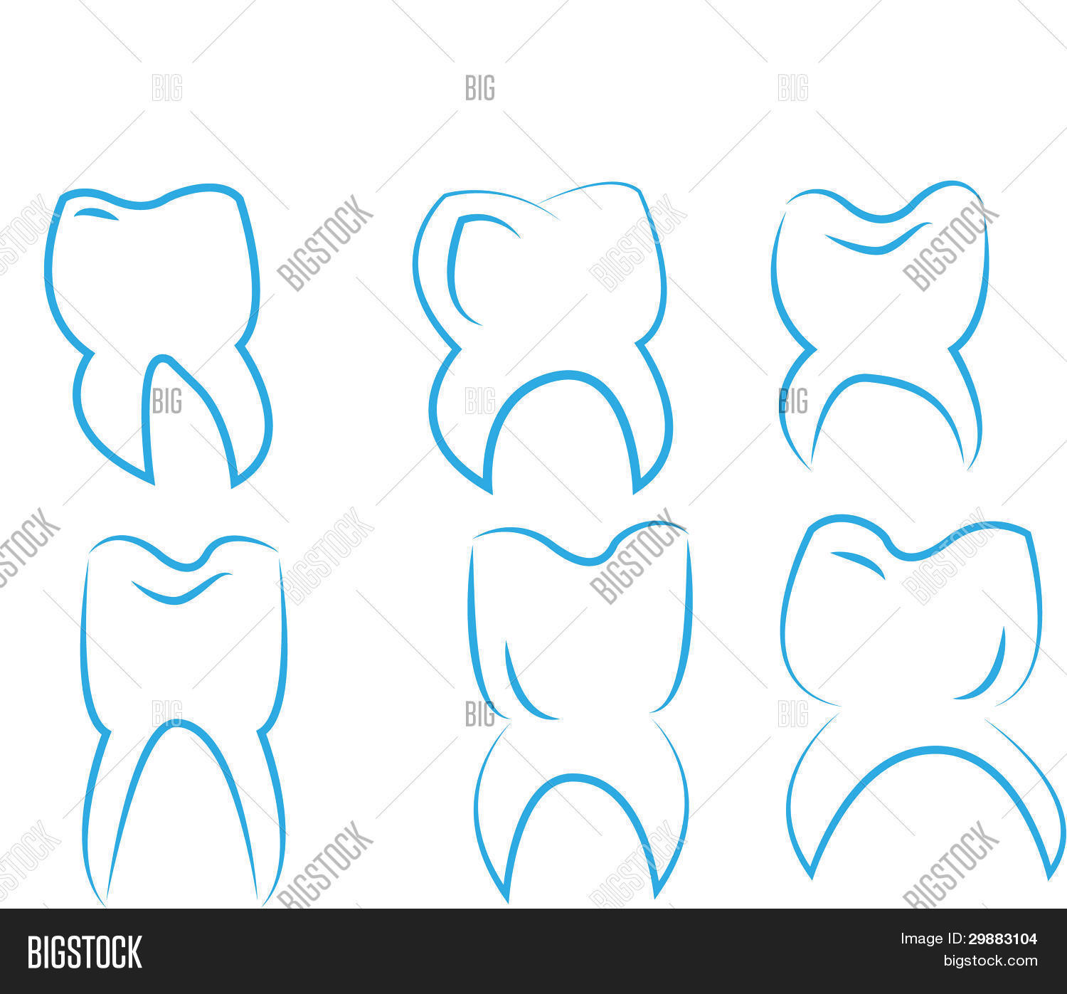 Vector Drawing Tooth. Vector & Photo (Free Trial) | Bigstock