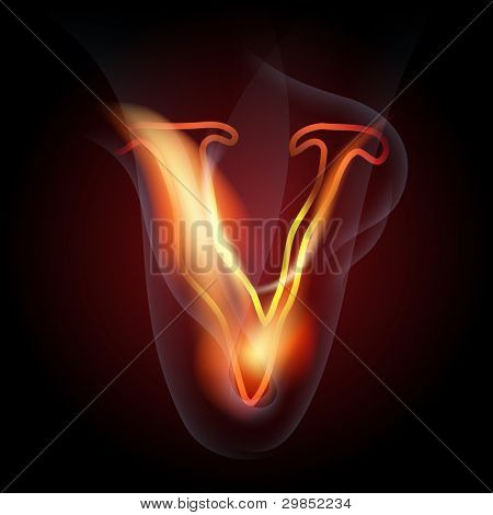 Fire Burning Latin Vector & Photo (Free Trial) | Bigstock