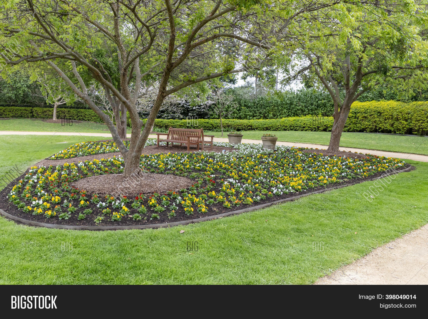 Colourful Arrangement Image & Photo (Free Trial) | Bigstock