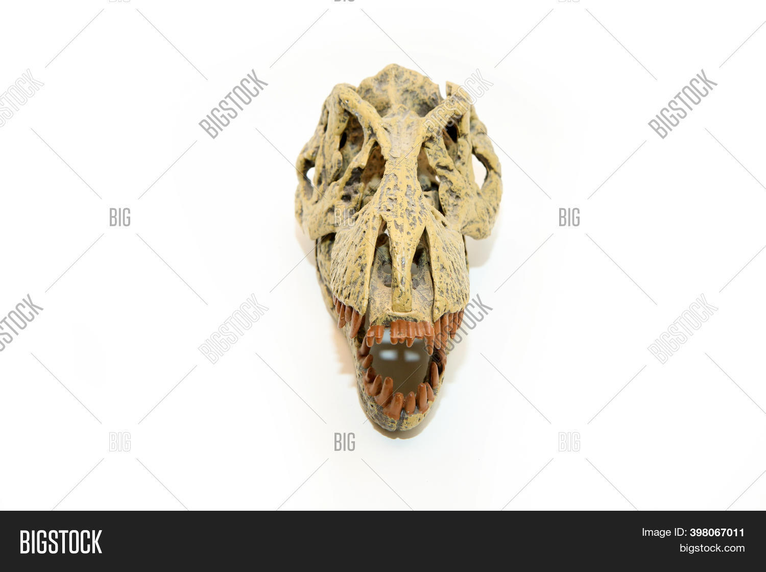 Fake Skull Prehistoric Image & Photo (Free Trial) | Bigstock