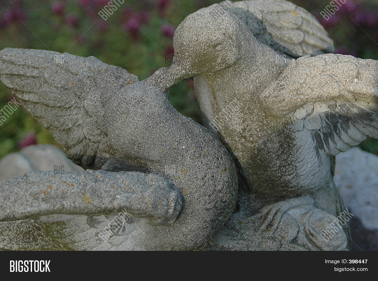 Kissing Birds Image & Photo (Free Trial) | Bigstock