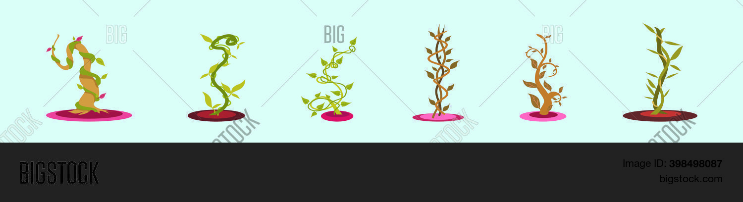 Set Beanstalk Cartoon Vector & Photo (Free Trial) | Bigstock