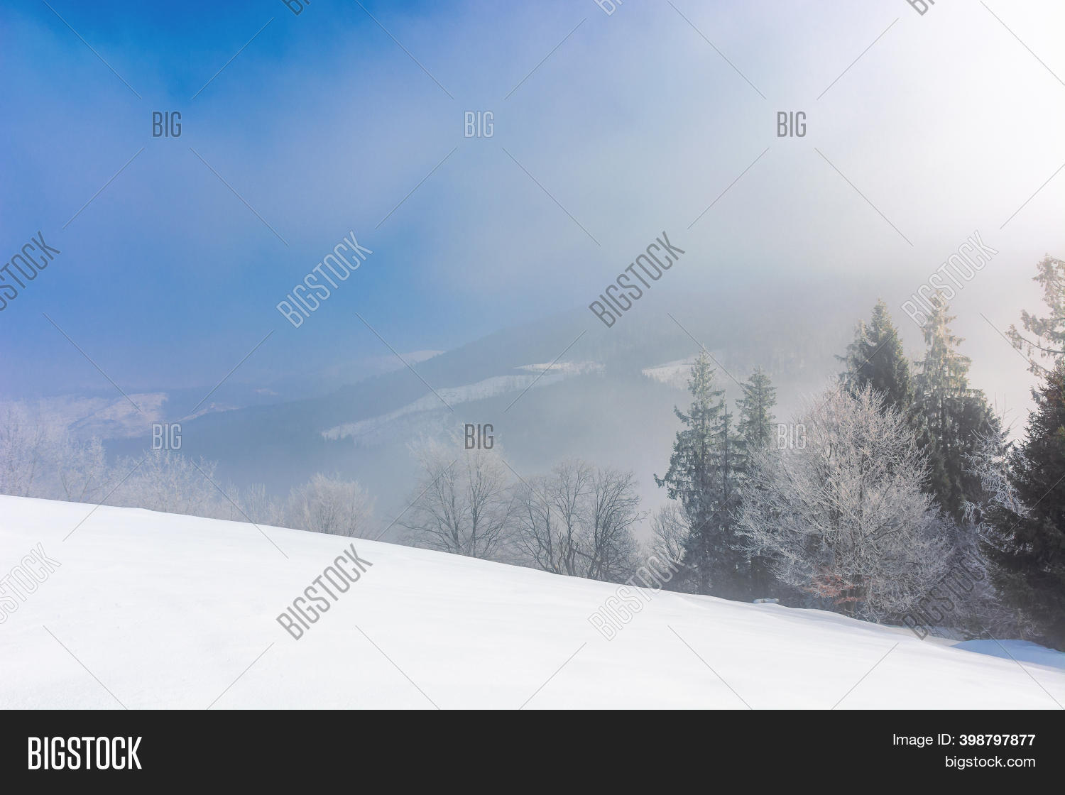 Trees Mist On Snow Image & Photo (Free Trial) | Bigstock