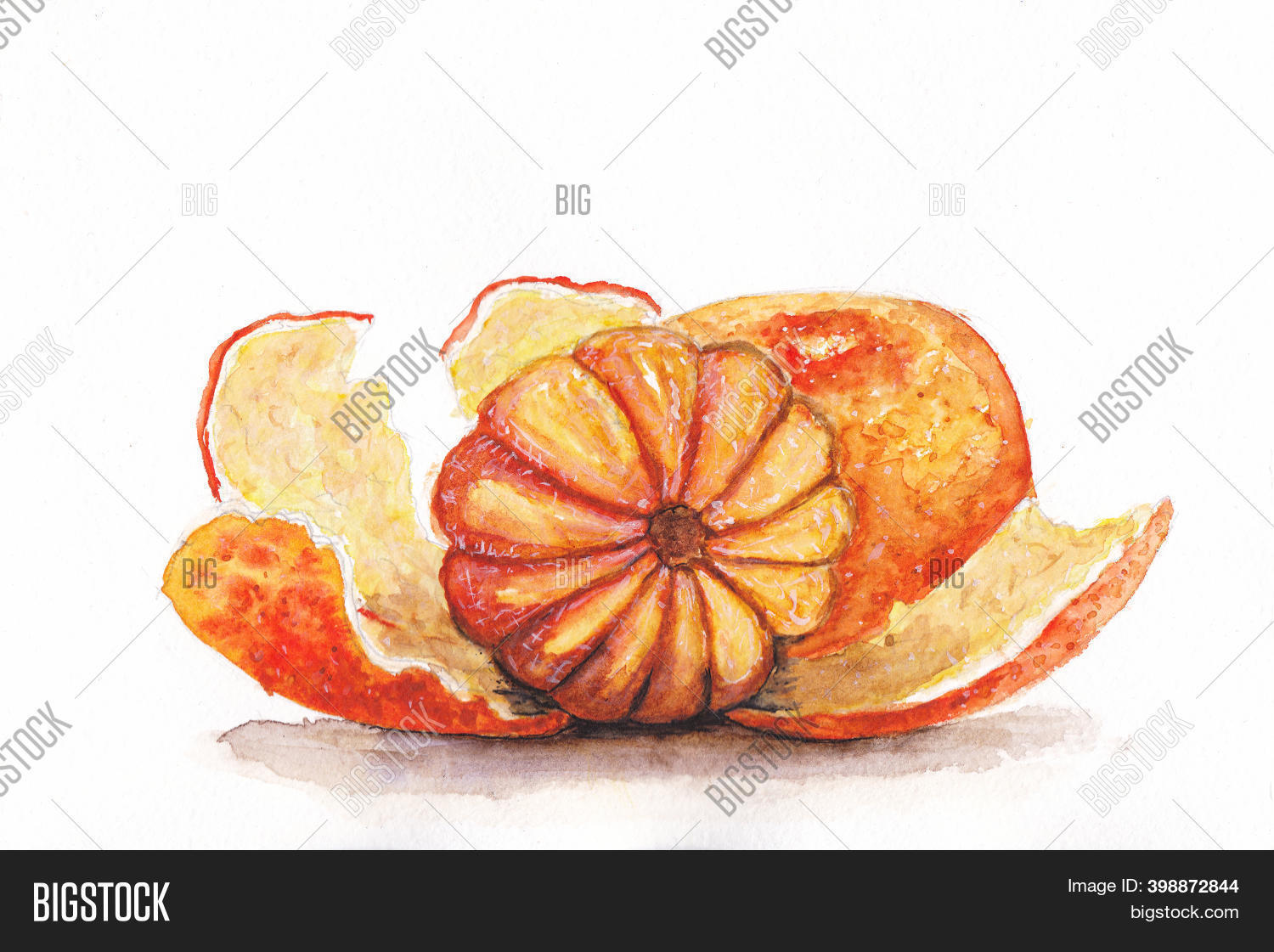 Peeled Mandarin Image & Photo (Free Trial) | Bigstock