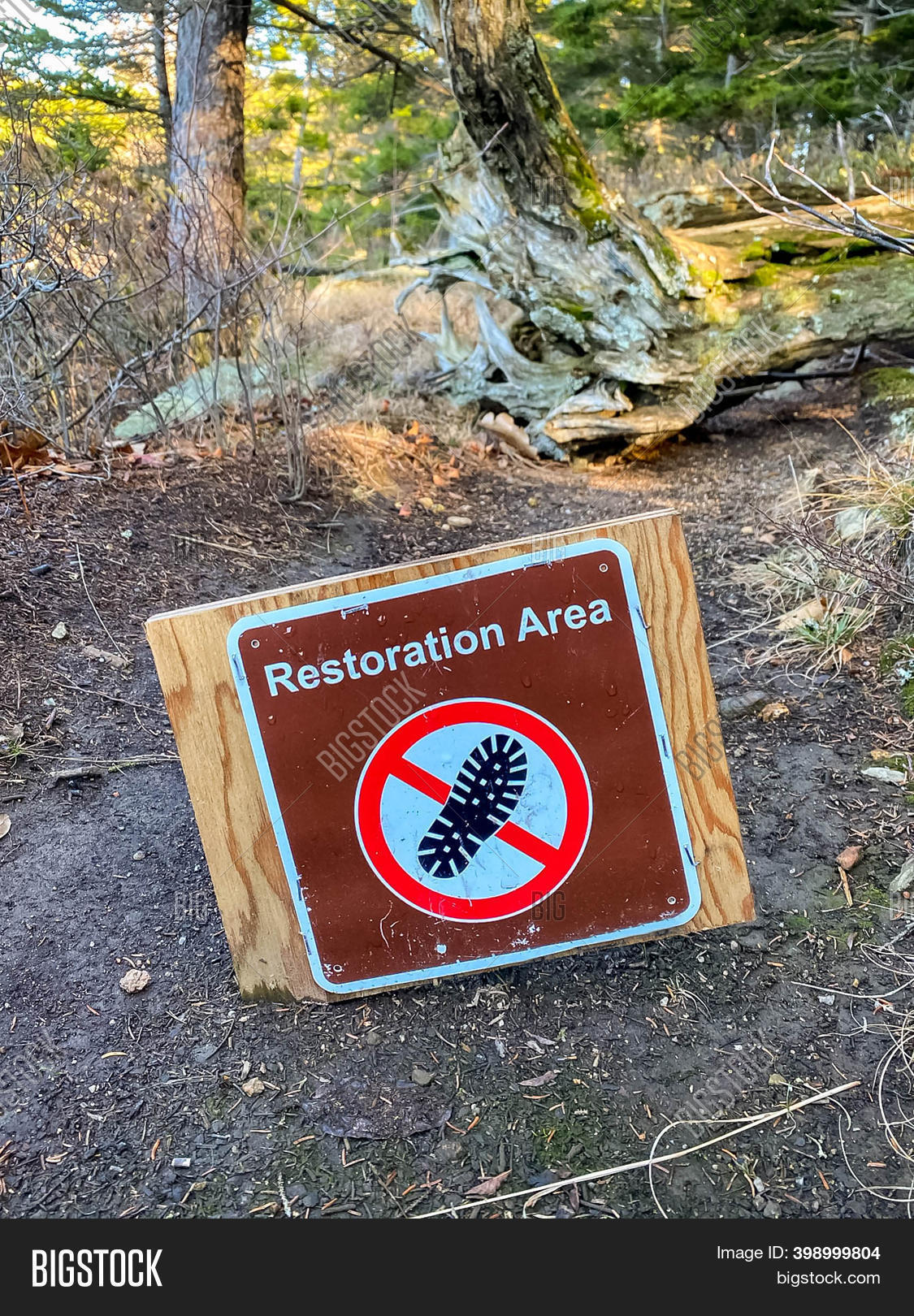 Restoration Area Image & Photo (Free Trial) | Bigstock