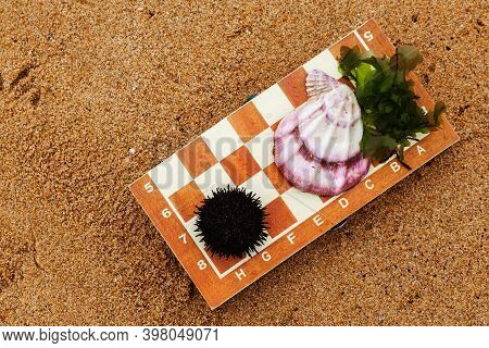 Playing Chess On Board Image & Photo (Free Trial) | Bigstock