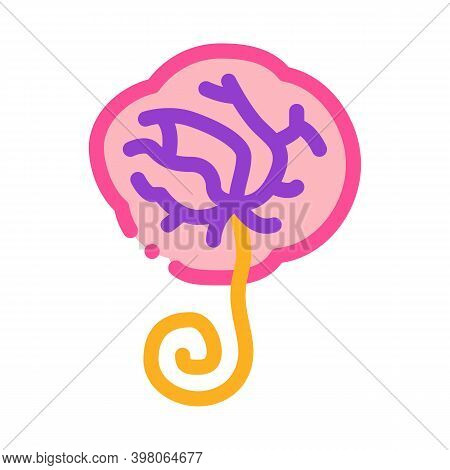 Placenta Images, Illustrations & Vectors (Free) - Bigstock