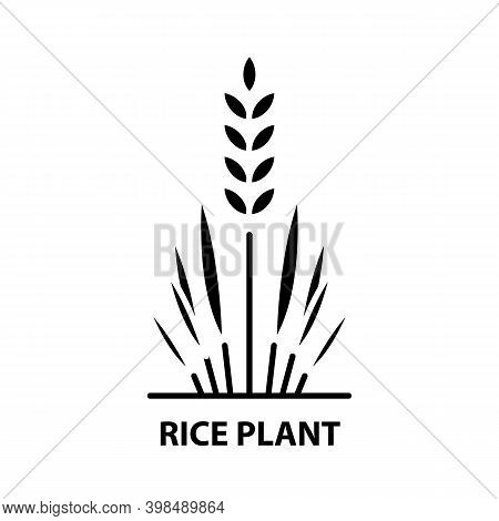 Rice Plant Icon, Vector & Photo (Free Trial) | Bigstock