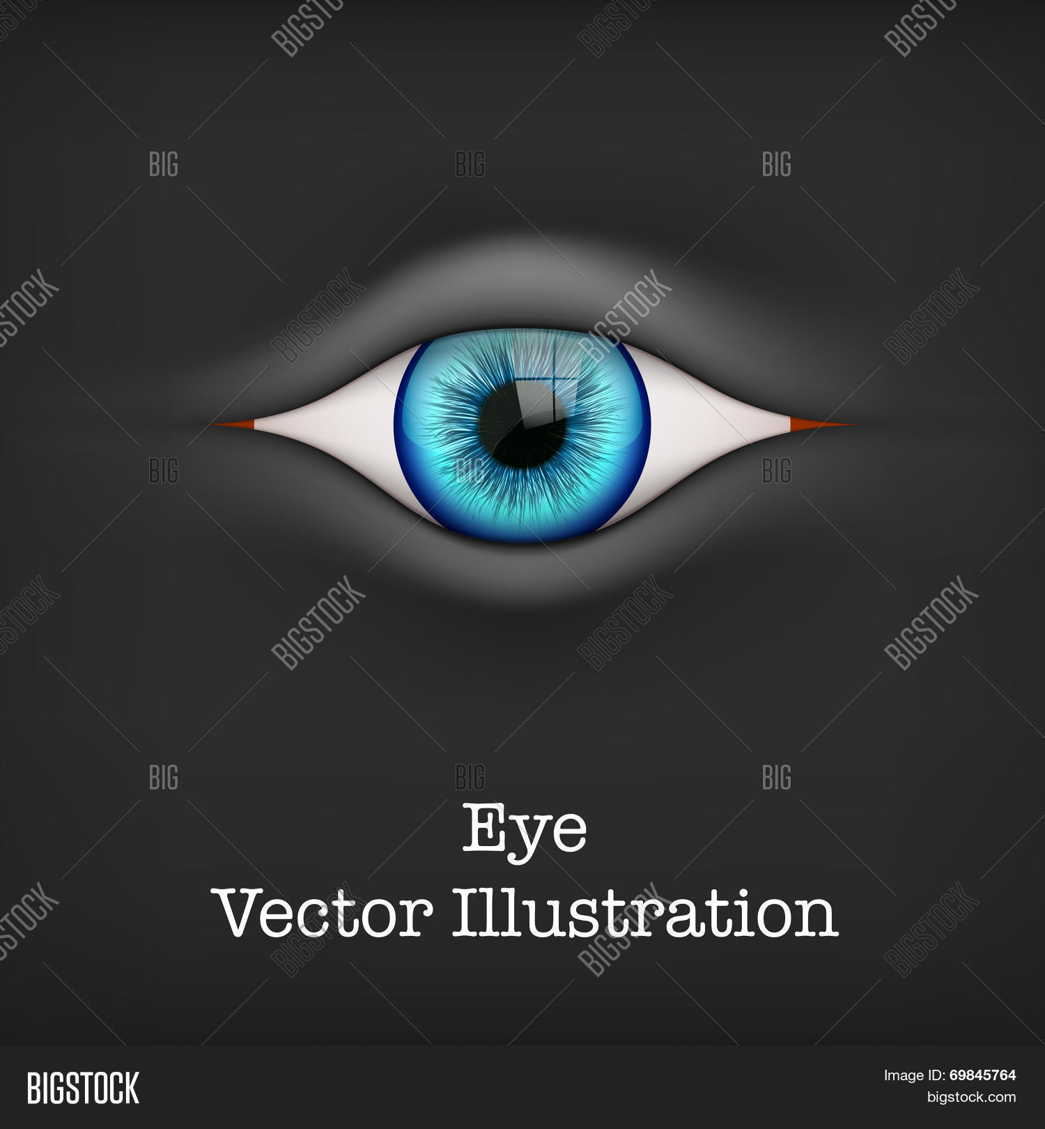 Background Human Eye Vector & Photo (Free Trial) | Bigstock