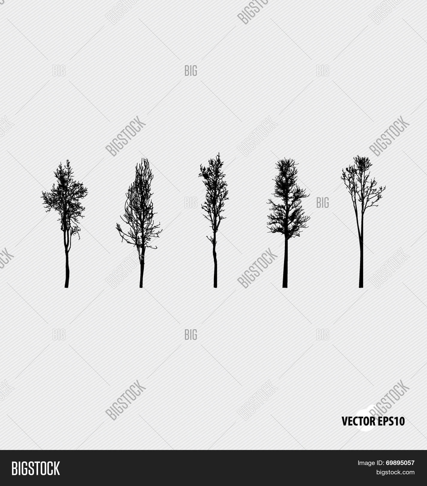 Set Tree Silhouettes Vector & Photo (Free Trial) | Bigstock