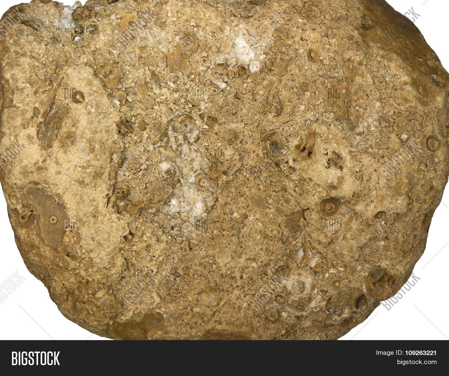 Accumulation Petrified Image & Photo (Free Trial) | Bigstock