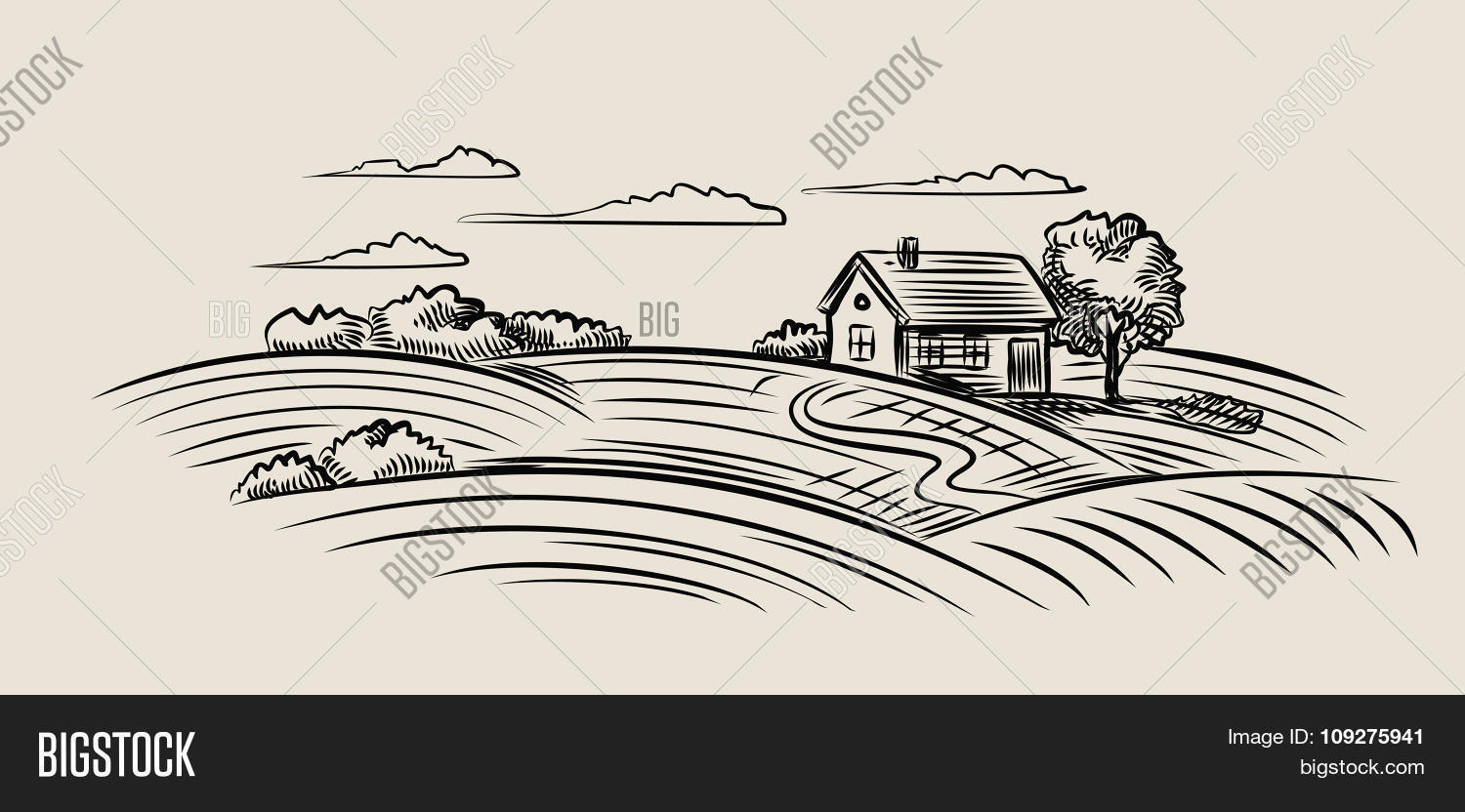 Farm Field Vector & Photo (Free Trial) | Bigstock
