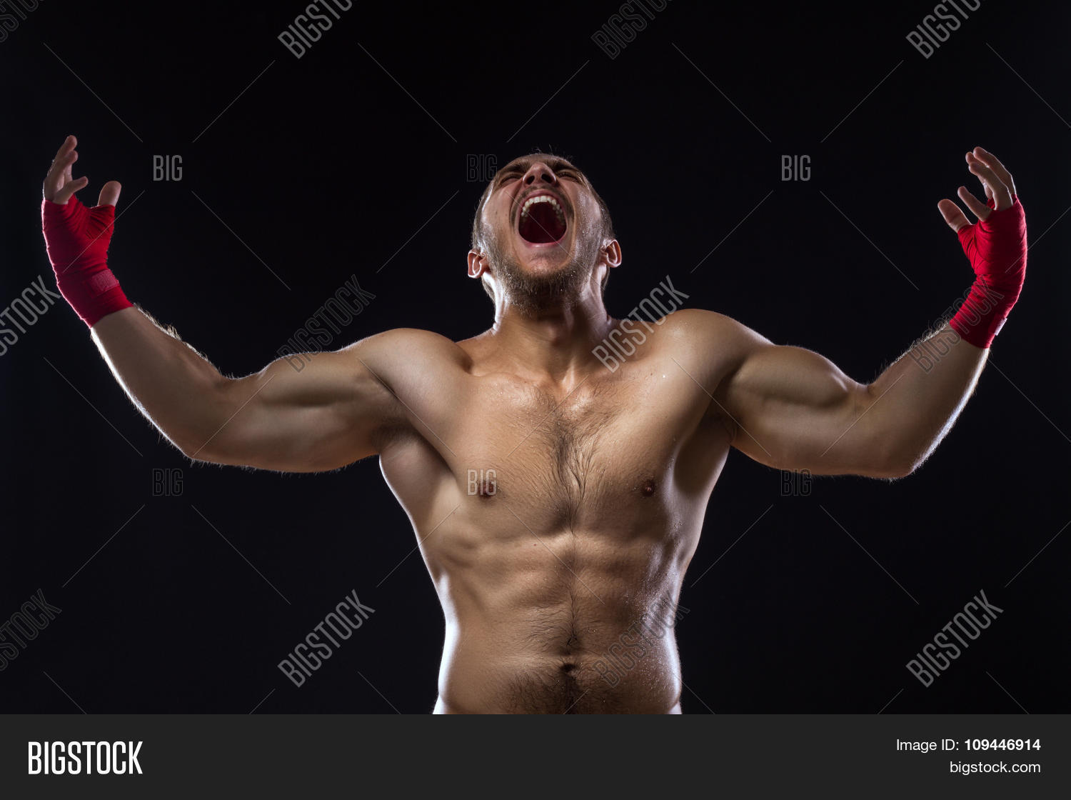 Mma Fighter On Black Image & Photo (Free Trial) | Bigstock
