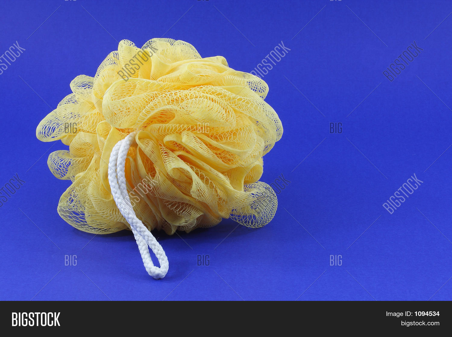 Body Sponge Image & Photo (Free Trial) | Bigstock