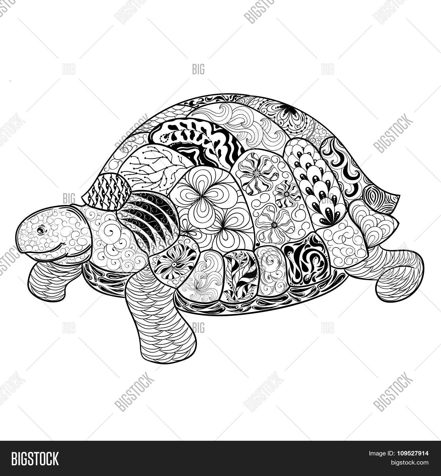 Turtle Doodle Vector & Photo (Free Trial) | Bigstock