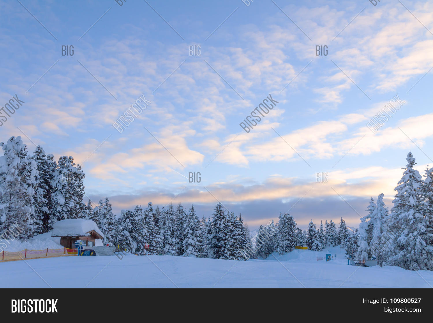 Evening Forest Image & Photo (Free Trial) | Bigstock