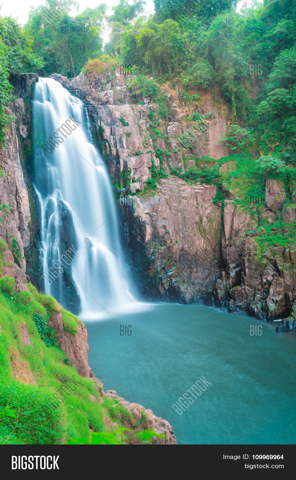 Beautiful Deep Forest Image & Photo (Free Trial) | Bigstock