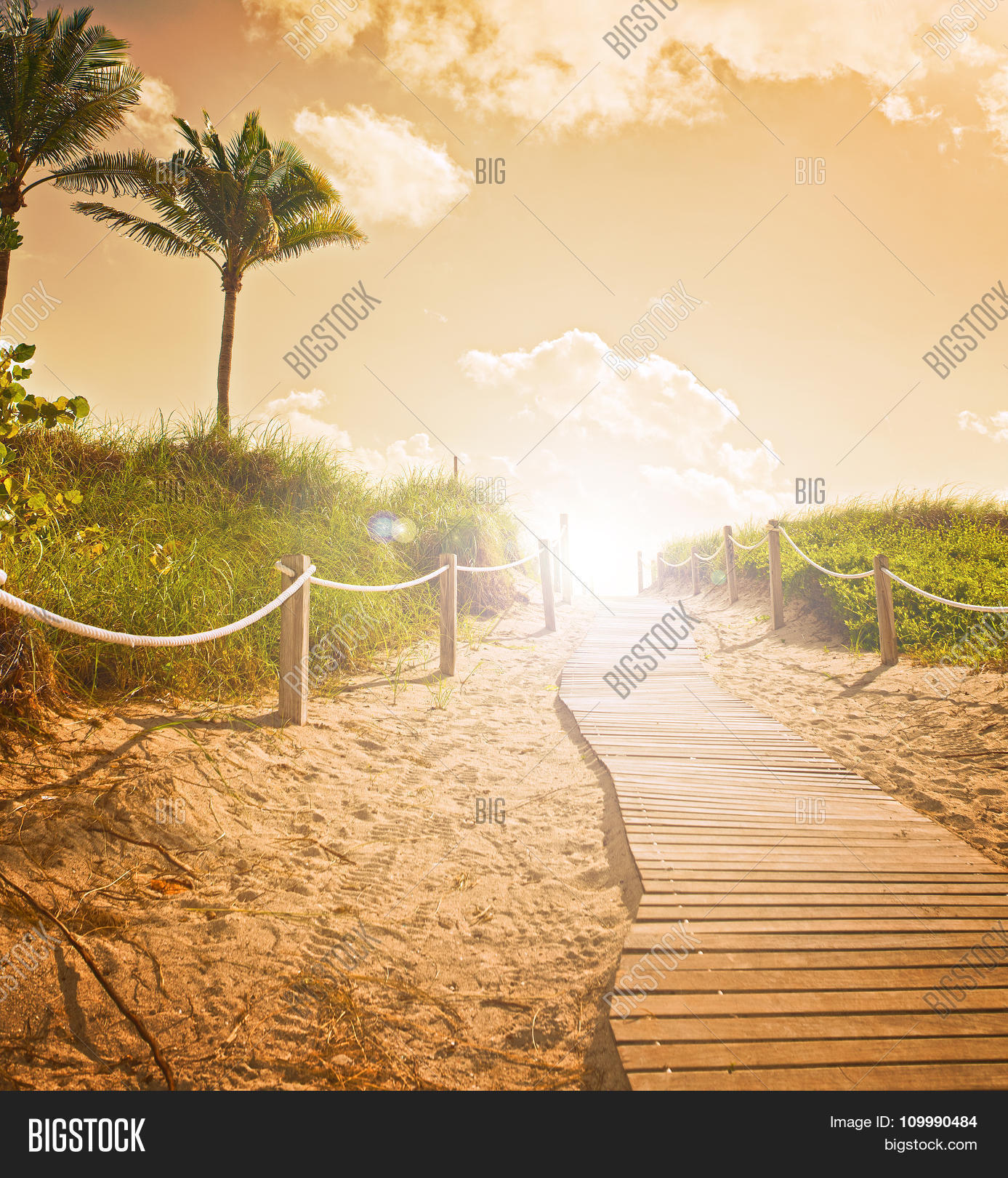 Beach Path Sunrise Image & Photo (Free Trial) | Bigstock