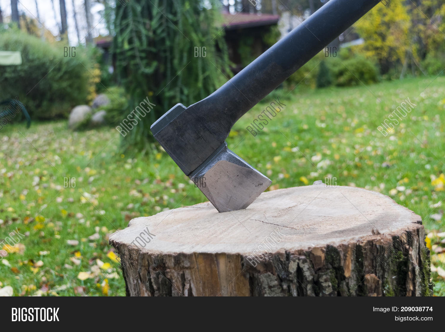 Axe Stump. Axe Ready Image & Photo (Free Trial) | Bigstock